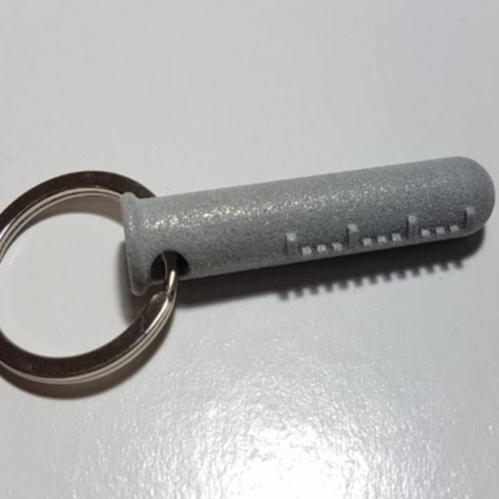 3D Printable Assay Tube Keychain by Bruno Martins
