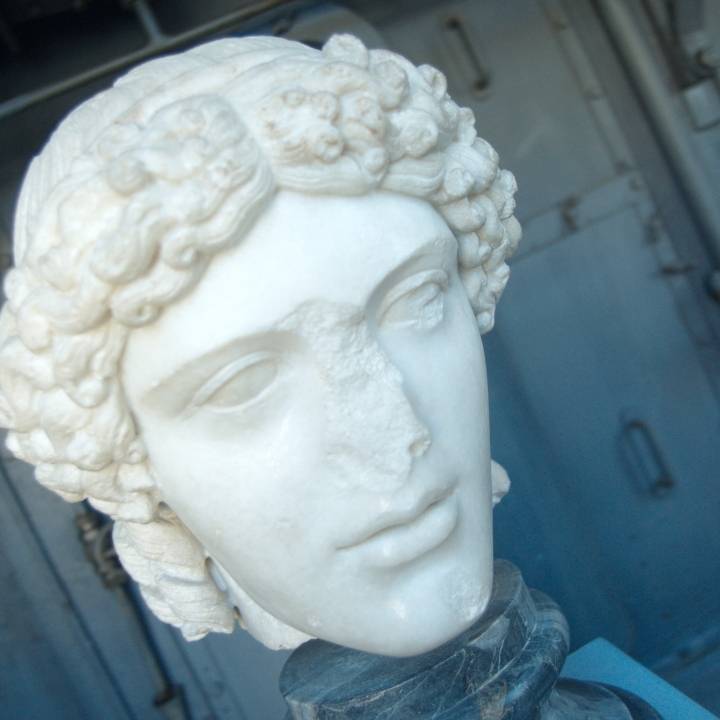 3D Printable Head of Apollo by Scan The World