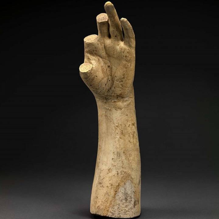 3D Printable Life Cast of Left Forearm and Hand by Smithsonianus
