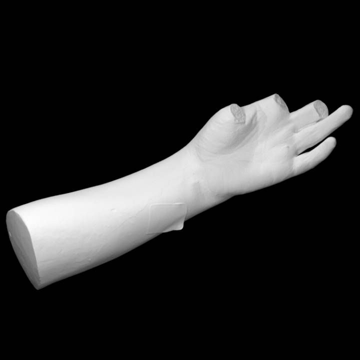 3D Printable Life Cast of Left Forearm and Hand by Smithsonianus