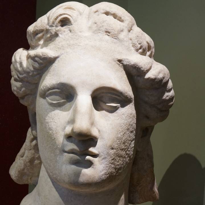 3D Printable Head of Apollo by Scan The World