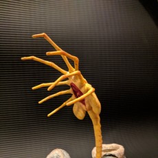 3D Printable Alien Facehugger by Tommy Fox
