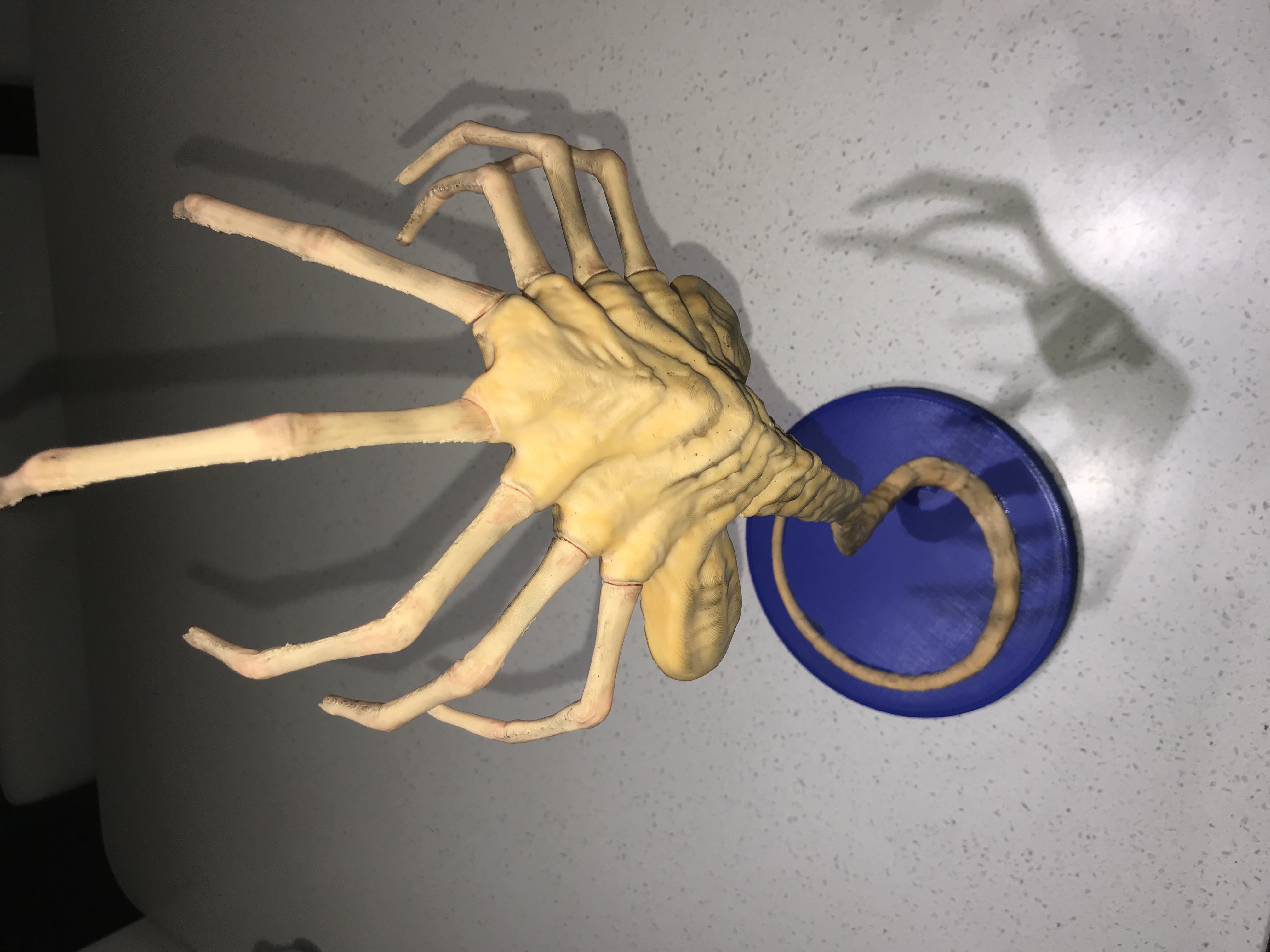 3D Printable Alien Facehugger by Tommy Fox