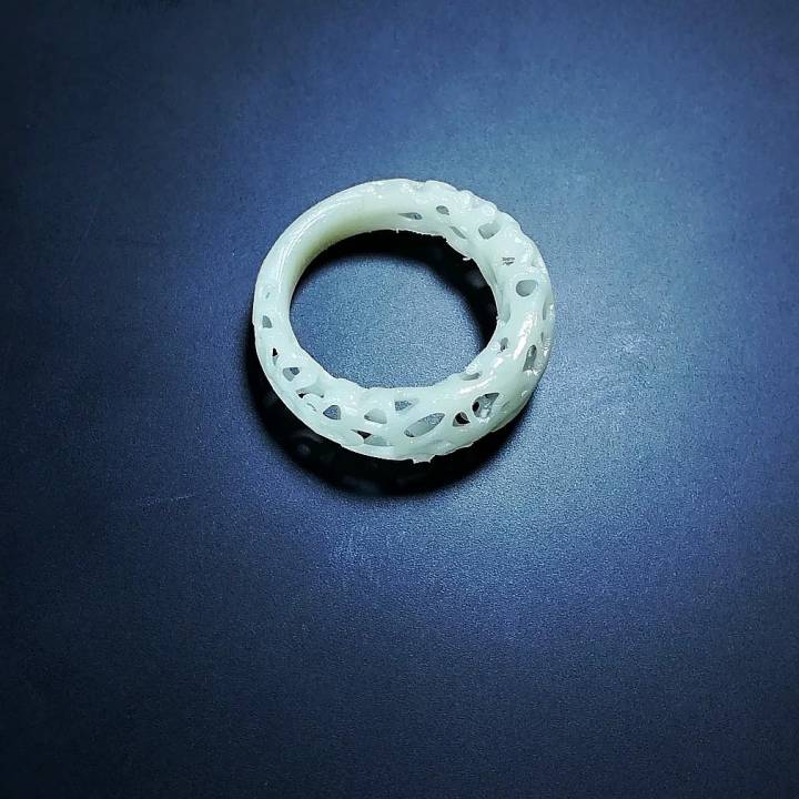 3D Printable Organic Ring by rey isidor aunzo