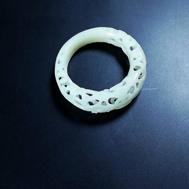 3D Printable Organic Ring by rey isidor aunzo