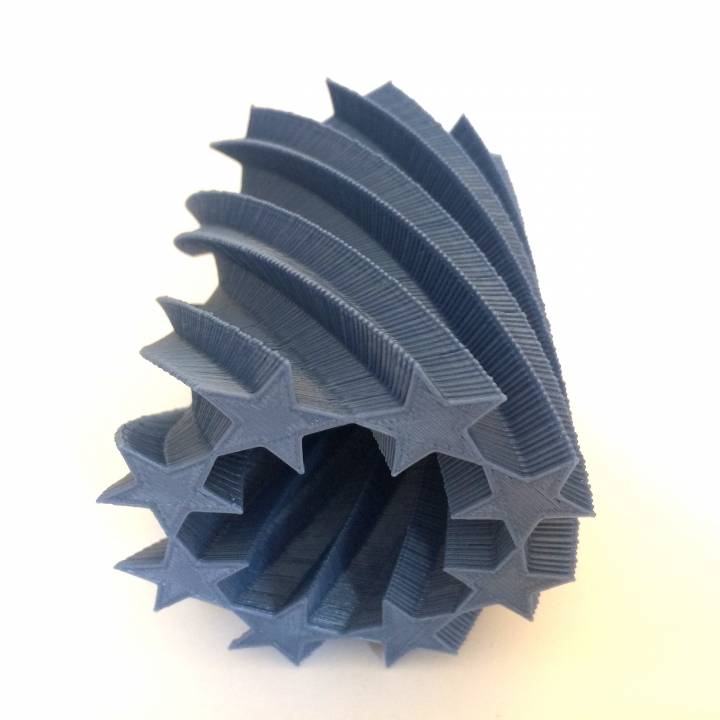 3D Printable twisting star flower pot by Jayden