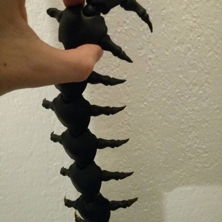 3D Printable Centipede by Florian