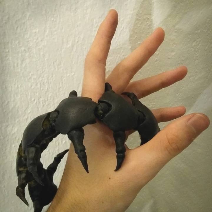 3D Printable Centipede by Florian