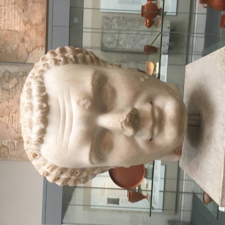 3D Printable Head of the Emperor Titus by Scan The World