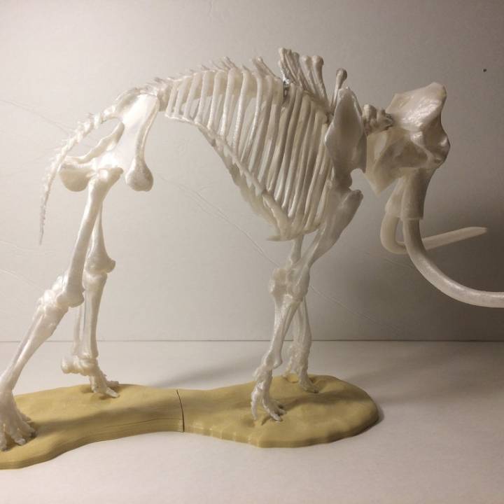 3D Printable Woolly Mammoth Skeleton by Rogar Kersoe