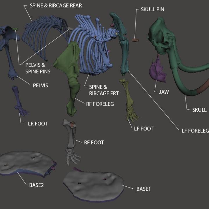 3D Printable Woolly Mammoth Skeleton by Rogar Kersoe