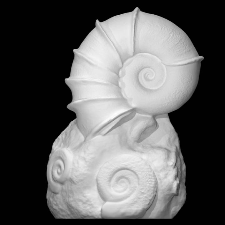 3D Printable A "Winged" Ammonite by Scan The World