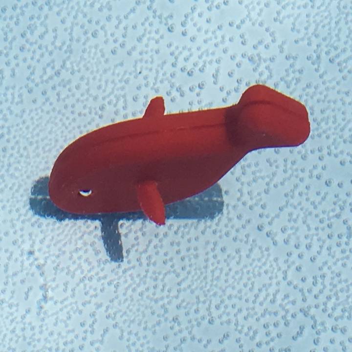 3D Printable Pool-Fish by Peter