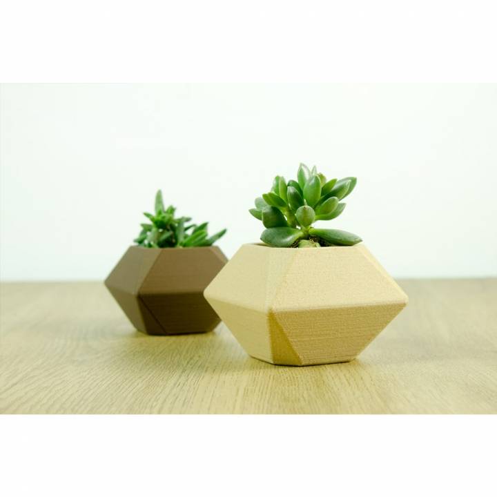 3D Printable Low Poly Planter by BCN3D Technologies