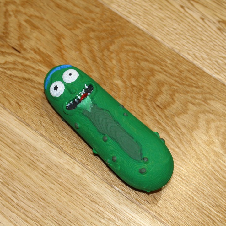3D Print of Pickle Rick! by saxonzs