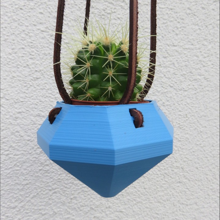 3D Printable Mini hanging planter by Lars