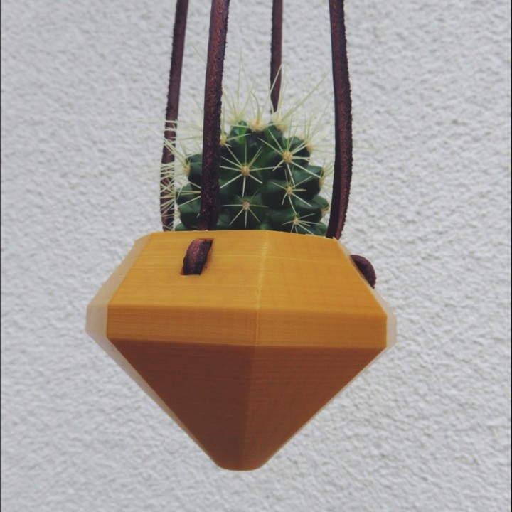 3D Printable Mini hanging planter by Lars