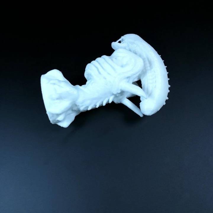 3D Printable Xenomorph Bust by Martial Design
