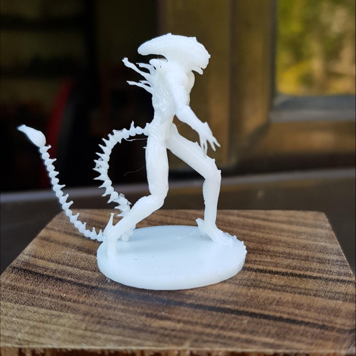 3D Printable Xenomorph (Alien) by Martial Design