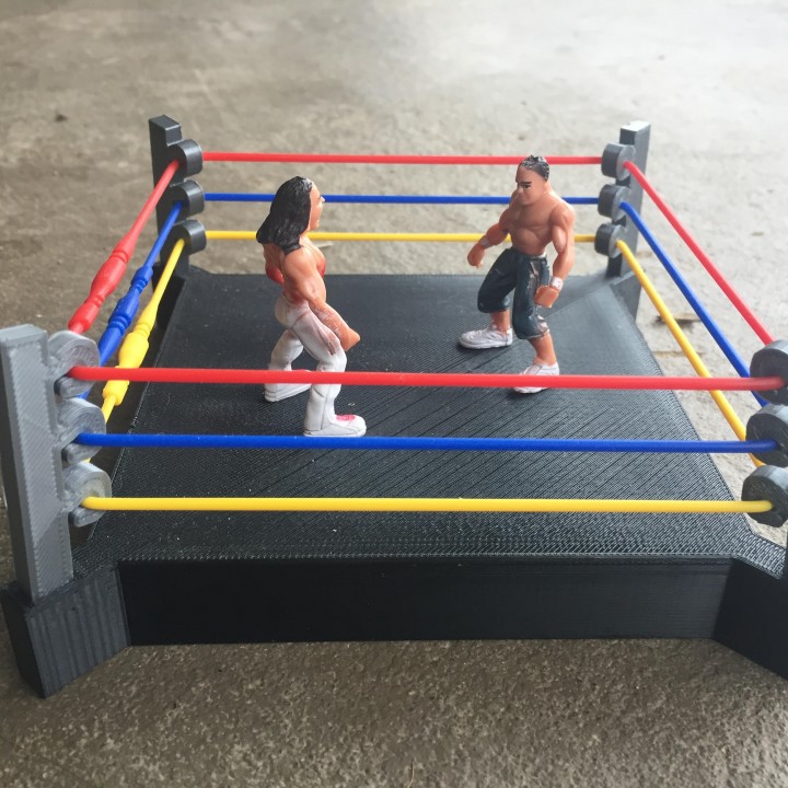 3D Printable Wrestling Ring by Star Labs 3D, LLC