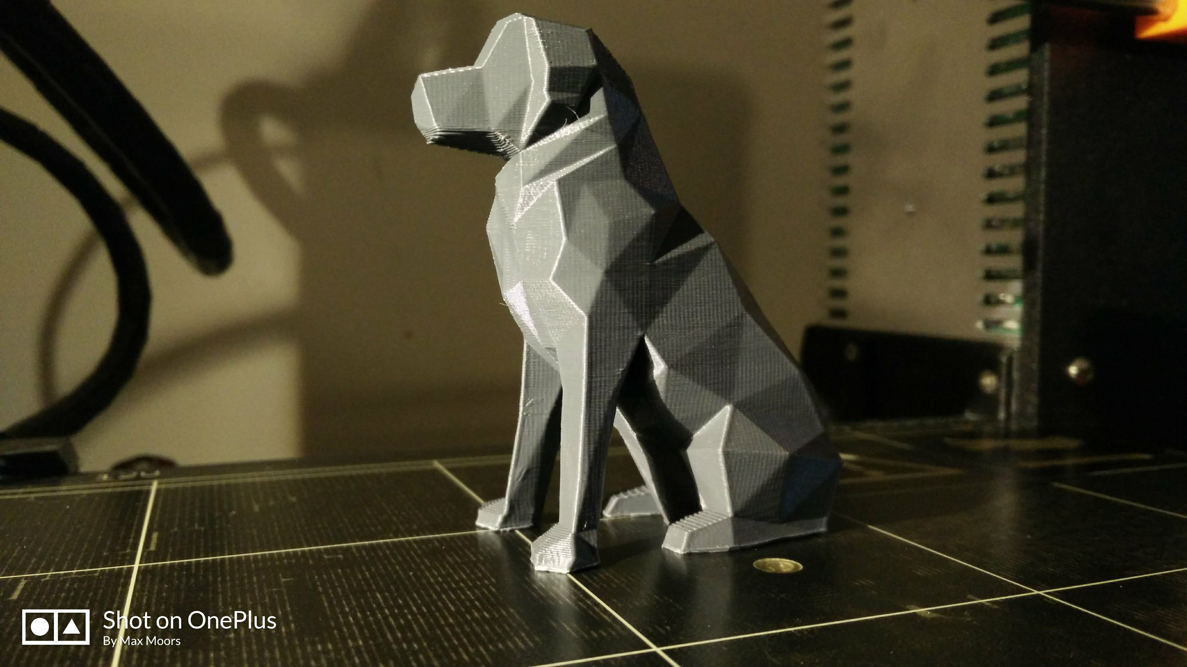 3D Printable Low Poly Dog - Beto by Agustín Arroyo