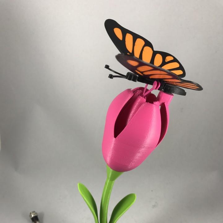 3D Printable Butterfly, Animated by Greg Zumwalt