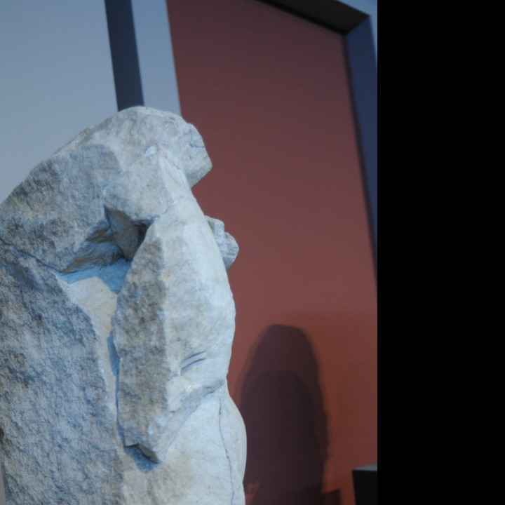 3D Printable Head of the Emperor Titus by Scan The World