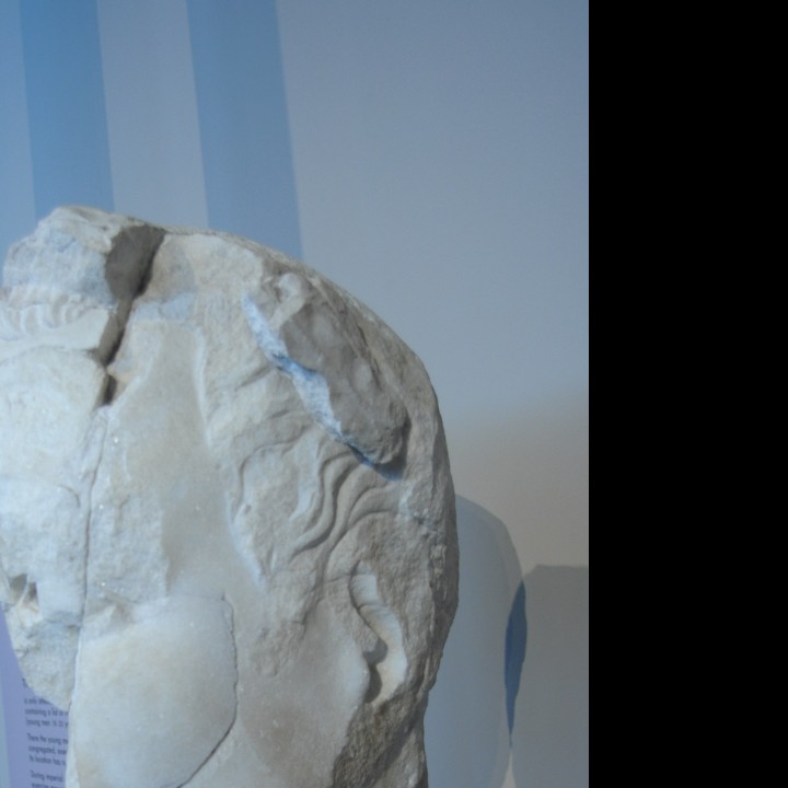 3D Printable Head of the Emperor Titus by Scan The World