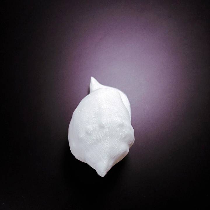 3D Printable Sea Shell by mezanu