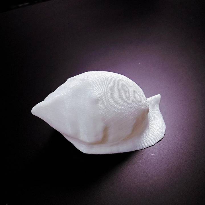 3D Printable Sea Shell by mezanu