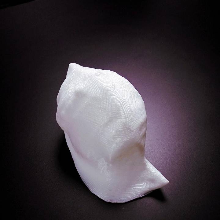3D Printable Sea Shell by mezanu