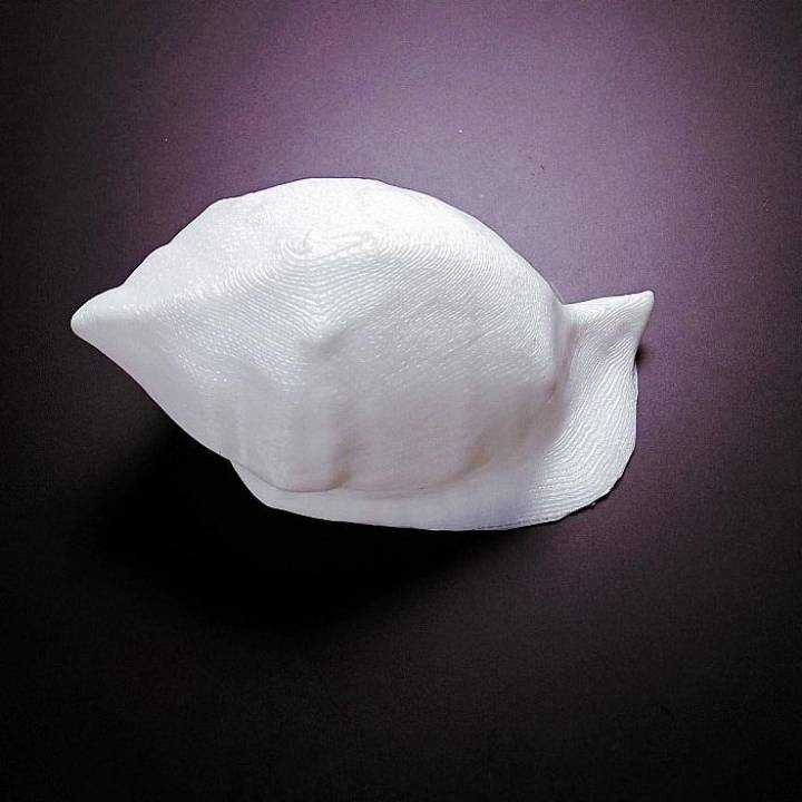3D Printable Sea Shell by mezanu
