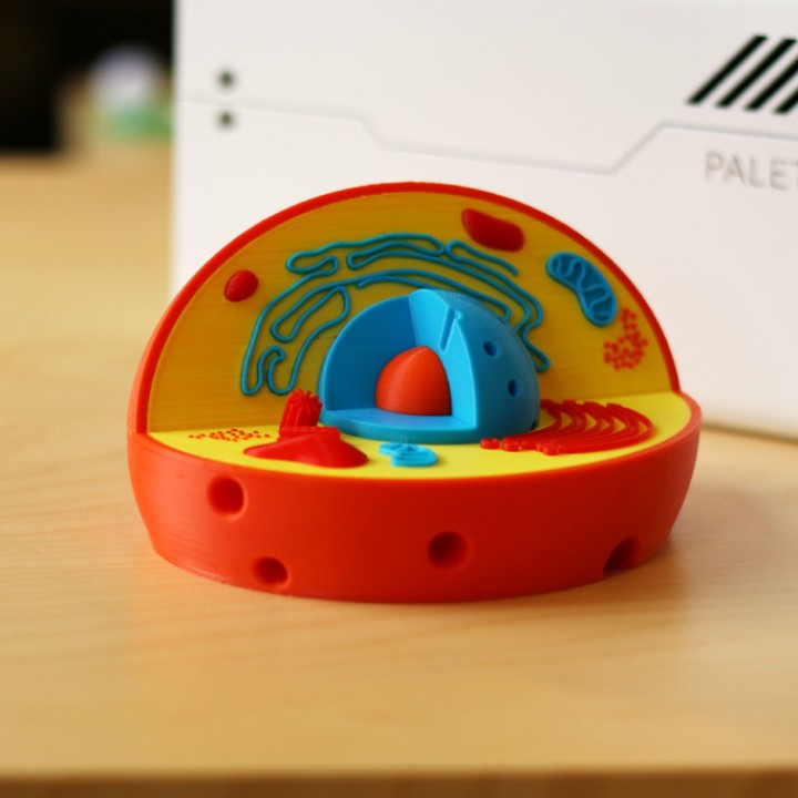 3D Printable Multi-Color Cell Model by Mosaic Manufacturing