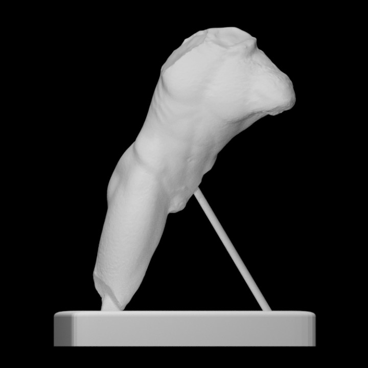 3D Printable Male Torso by Scan The World