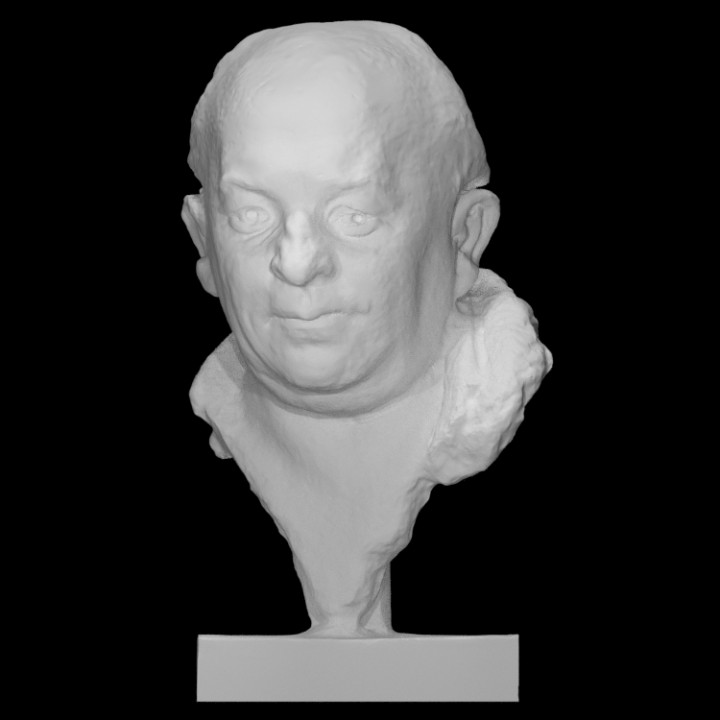 3D Printable Head of a man by Scan The World