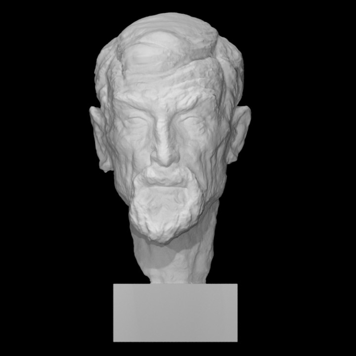3D Printable Head of a man by Scan The World