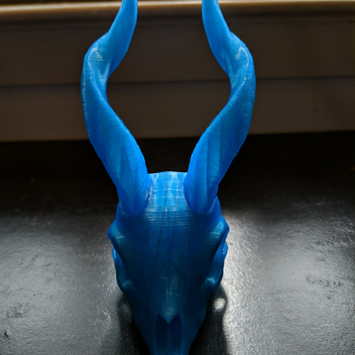 3D Print of Markhor Skull by mikic