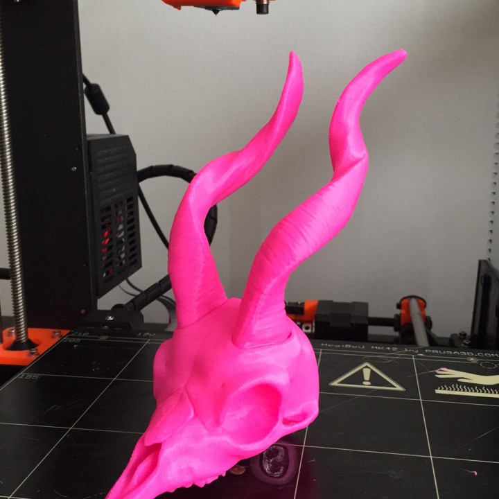 3D Printable Markhor Skull by glar