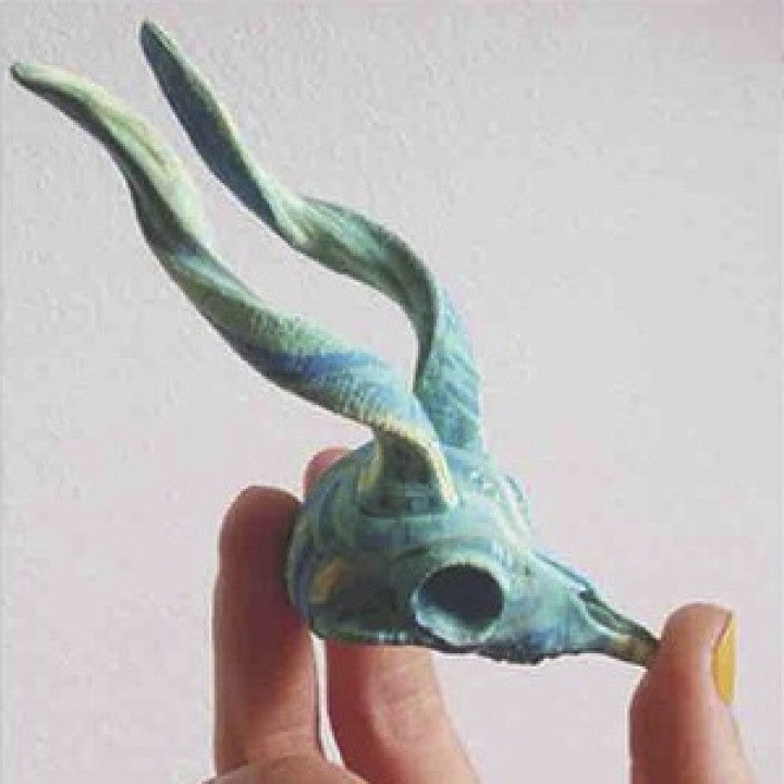 3D Printable Markhor Skull by glar