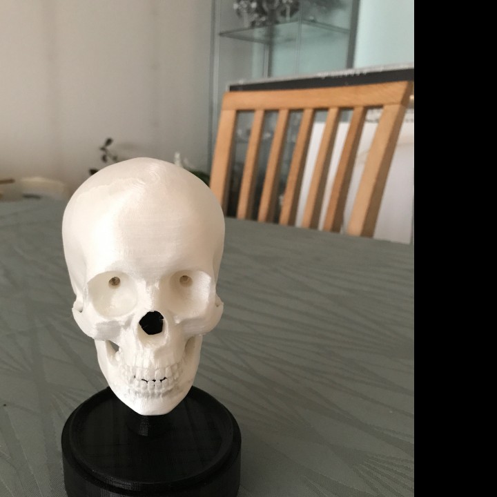 3D Printable Skull Stand , with helmet by Thomas Kjeldsen