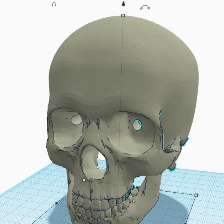 3D Printable Skull Stand , with helmet by Thomas Kjeldsen