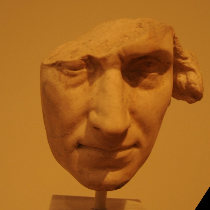 3D Printable Portrait head of man by Scan The World