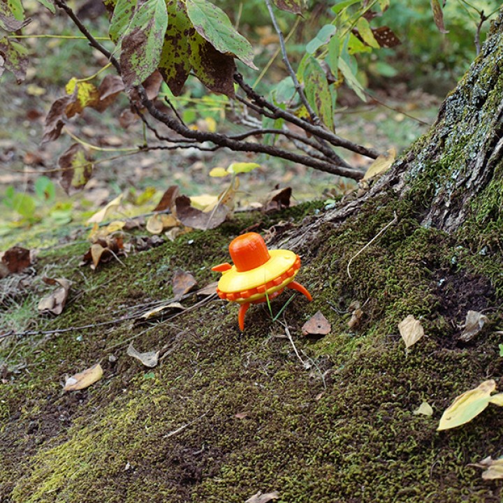 3D Printable Little UFO (basic) by Dmitry Kulikov