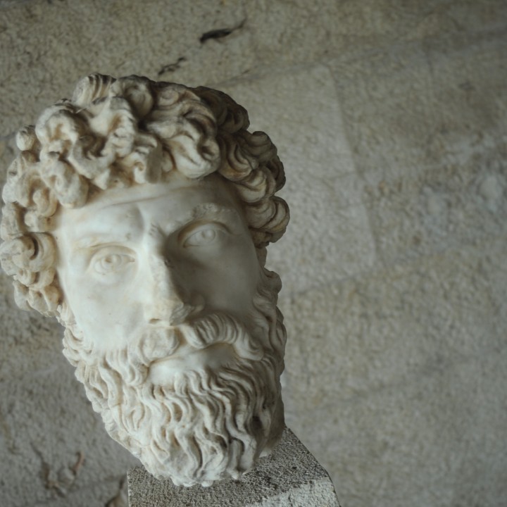 3D Printable Portrait bust of a Roman matron by Scan The World