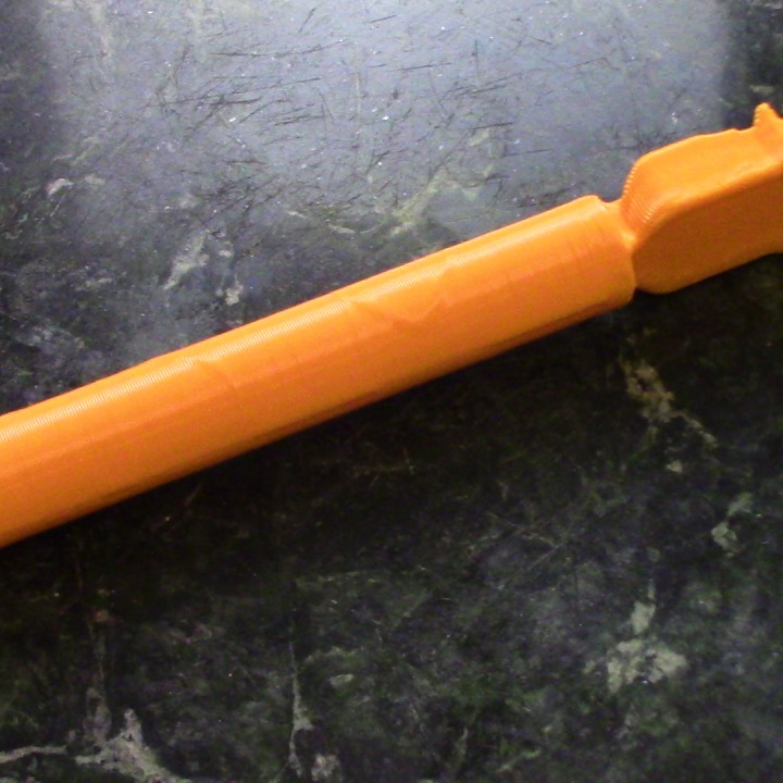 3D Printable Pineapple Body scratcher by Larry Milam