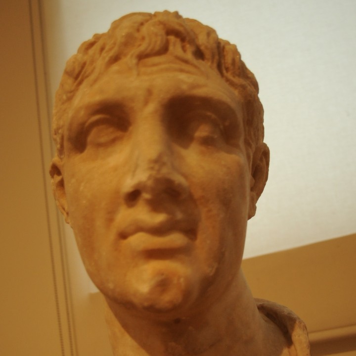 3D Printable Male portrait head by Scan The World