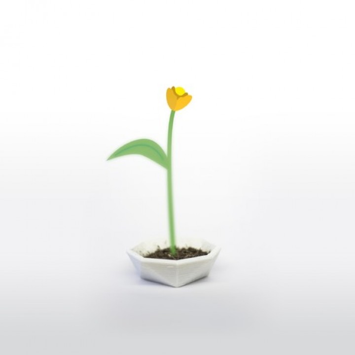 3D Printable Polypod - Polygon flower pod by Sönke Tenckhoff