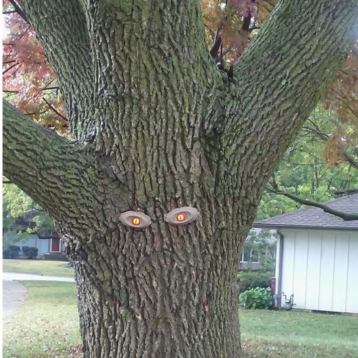 3D Printable Spooky Tree Eyes Kit For Halloween by Dustin Diedel