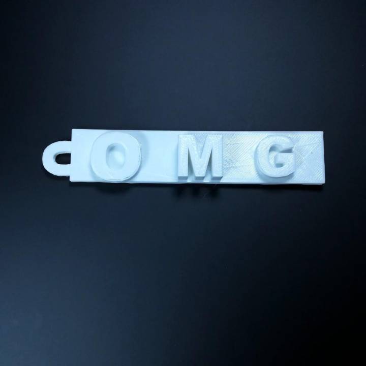 3D Printable OMG key chain by Billy bob bogus