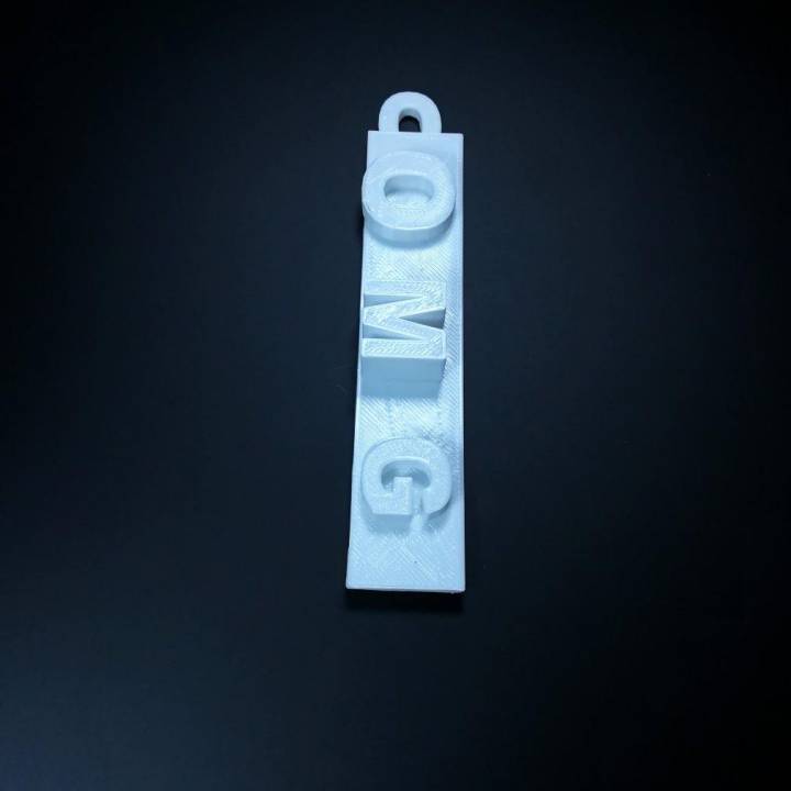 3D Printable OMG key chain by Billy bob bogus